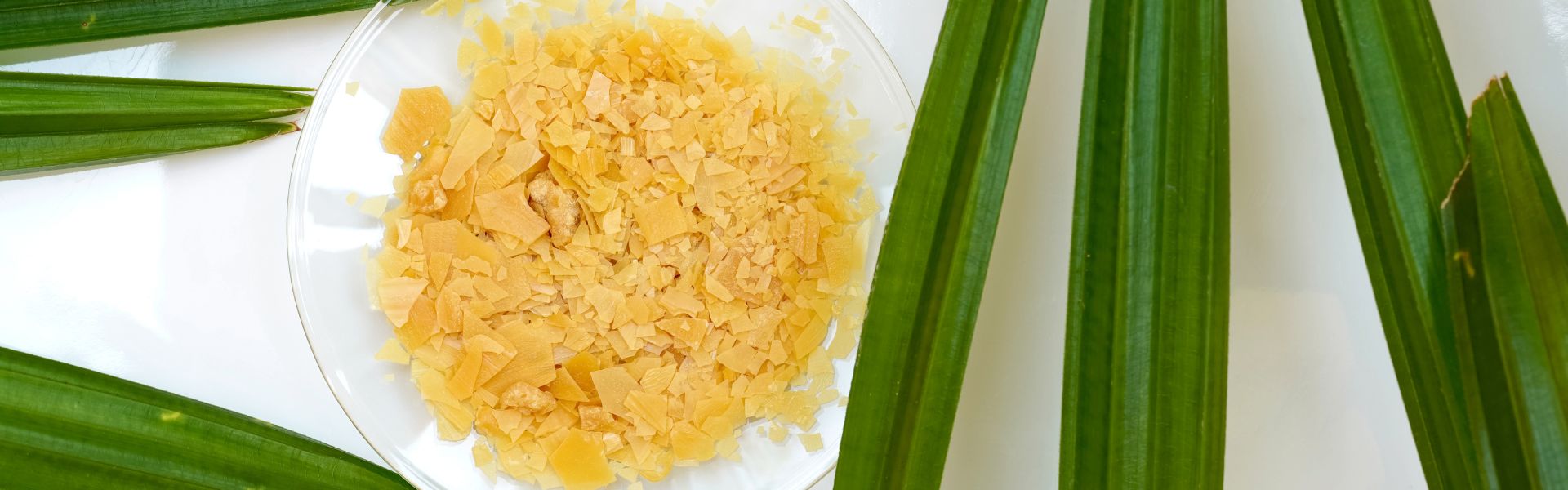 Natural Waxes in Manufacturing: Sustainable & High-Performance ...