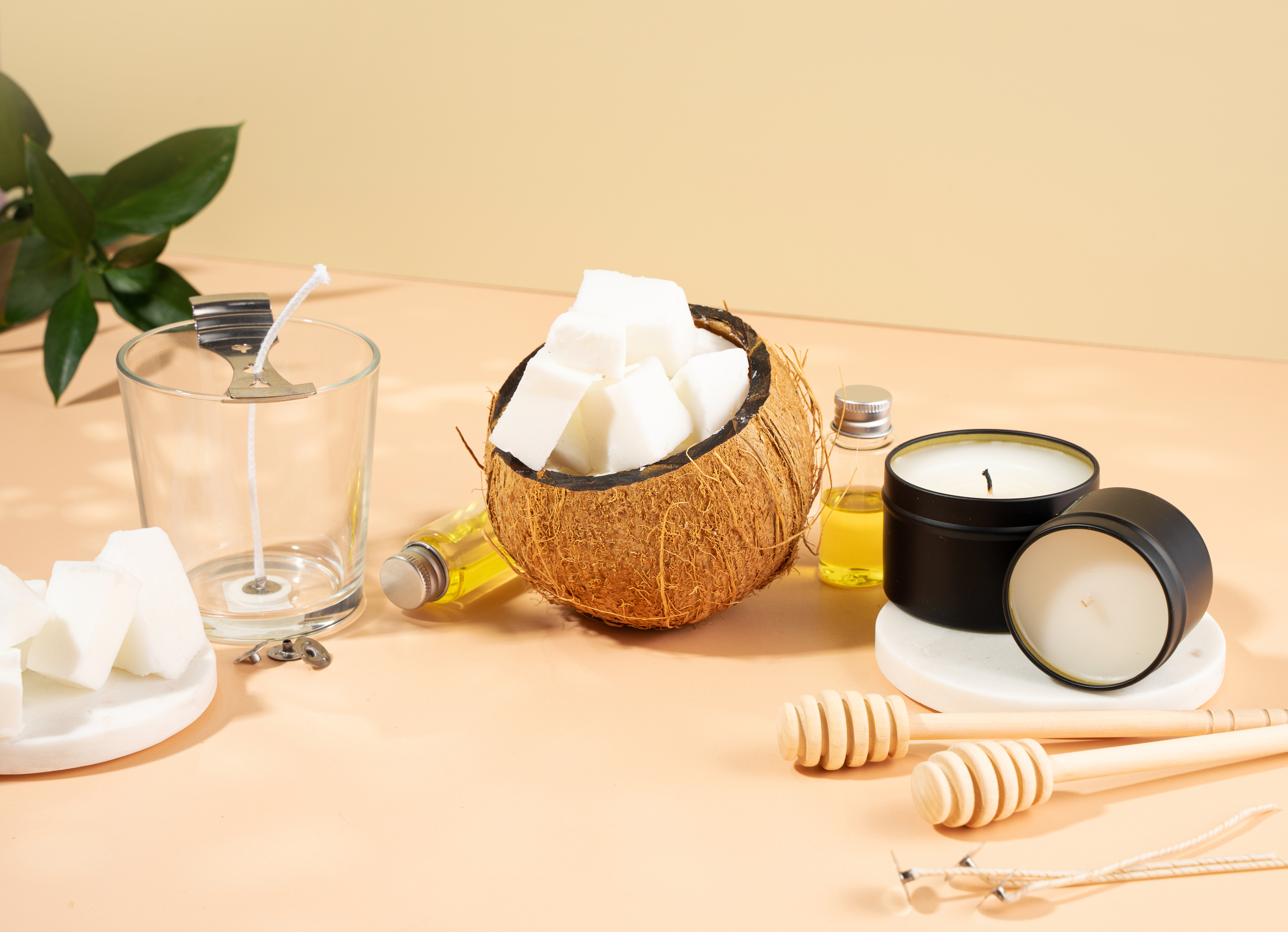 Coconut Wax For Candle Making - SER Wax Industry